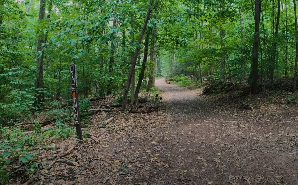 Is Wadsworth Falls State Park Worth the Trip? Here’s My Take ...